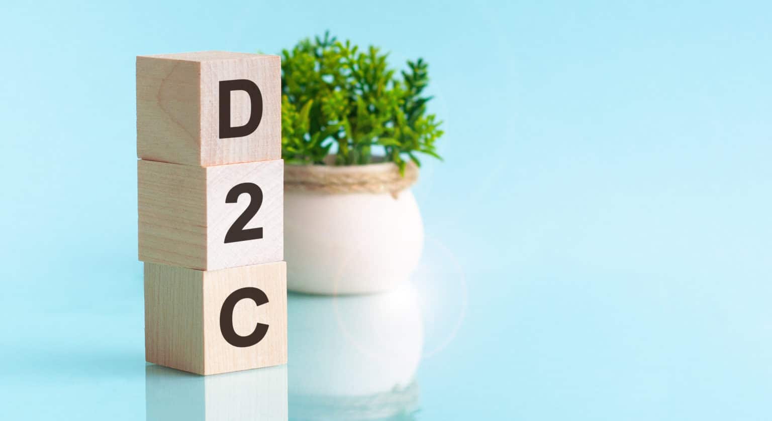 D2C vs B2C: Key Differences, Benefits & Future Trends